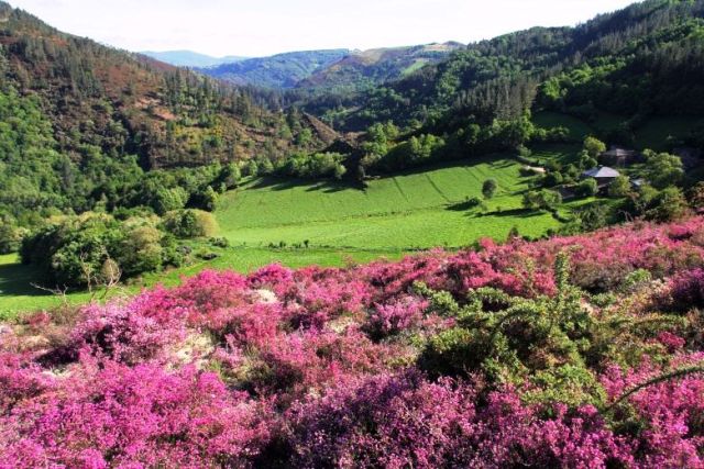 En primavera florece Asturias