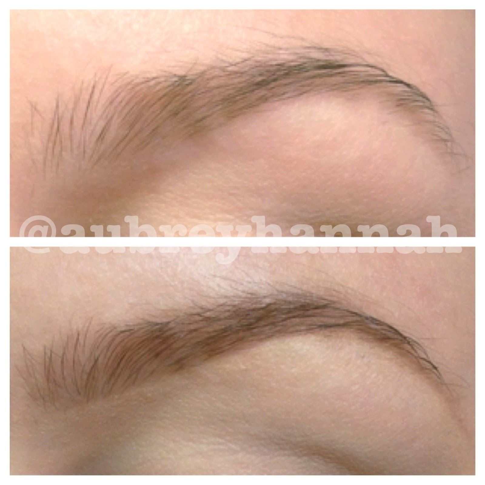 Aubrey Hannah: Eyebrow Tutorial