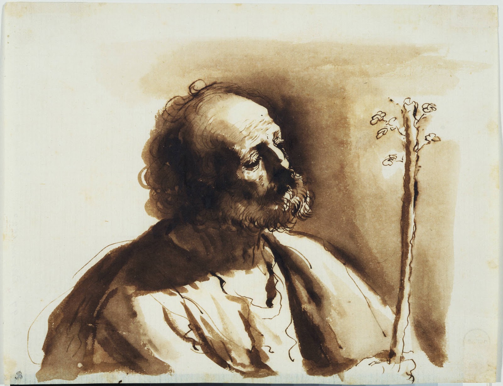 Spencer Alley: January 2019