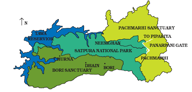 CONSERVATION OF PLANTS AND ANIMALS - PART I