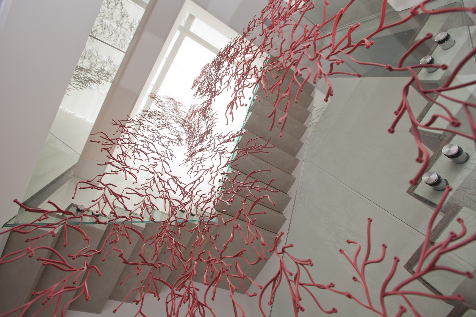 1000+ images about vitra + algue on Pinterest