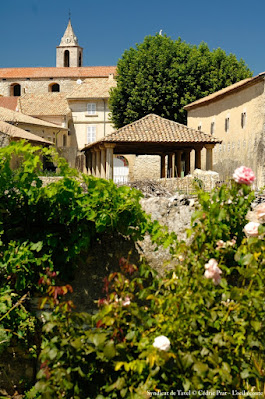 WineWriting.com: Rhône: Palai Mignon, Tavel & Lirac