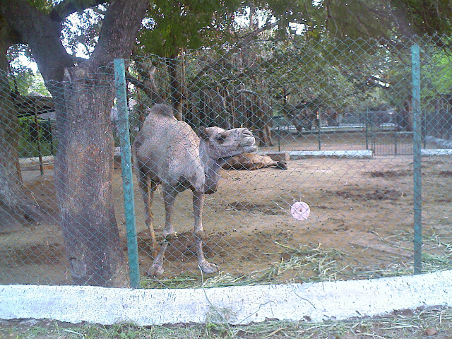 Tamilnadu Tourism: VOC Park and Zoo, Coimbatore