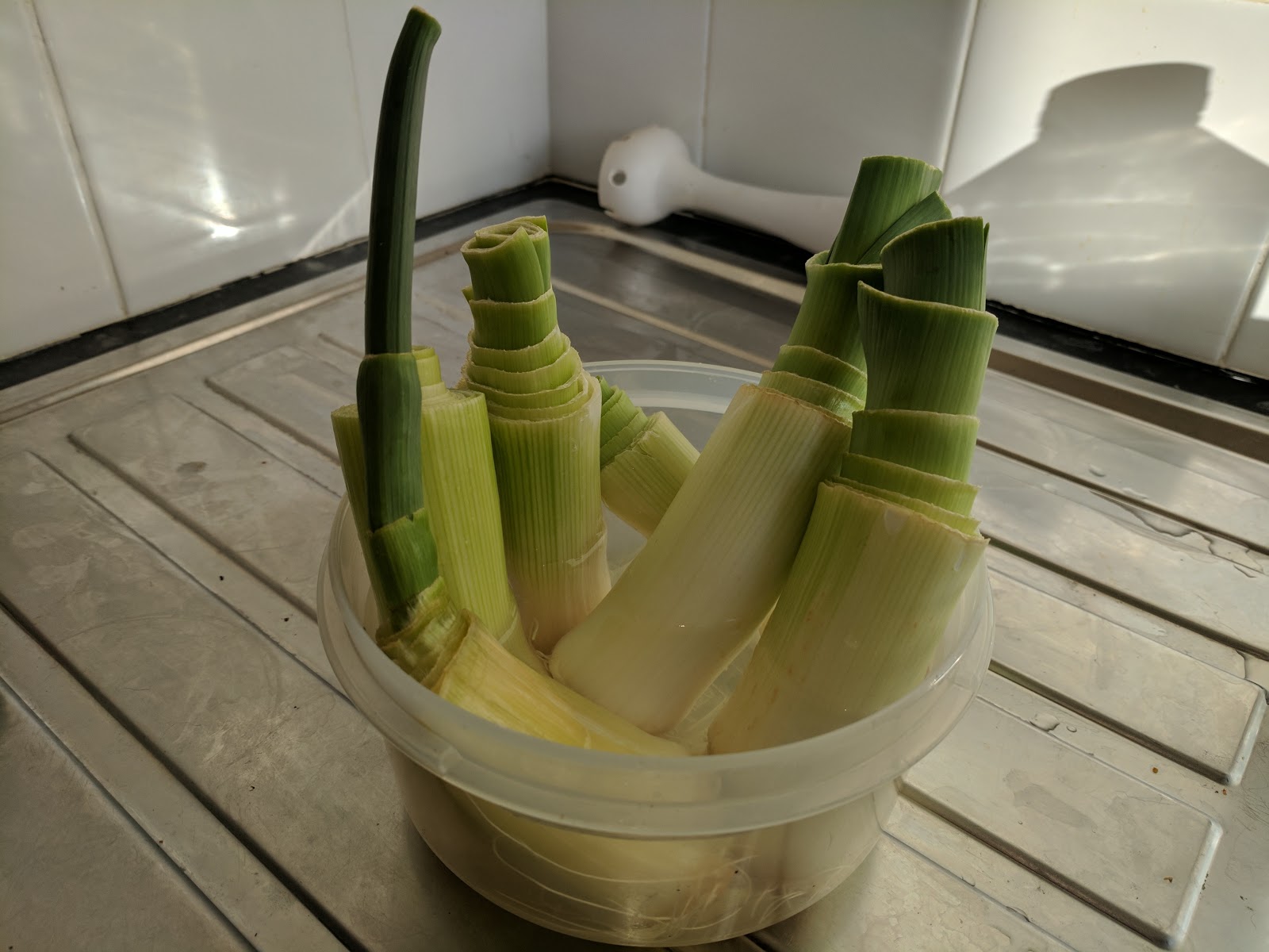 A Possible World: How to Re-Grow Leeks