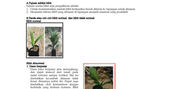 Khalfahrum-Cikgu: Materi Penanaman Tanaman Perkebunan