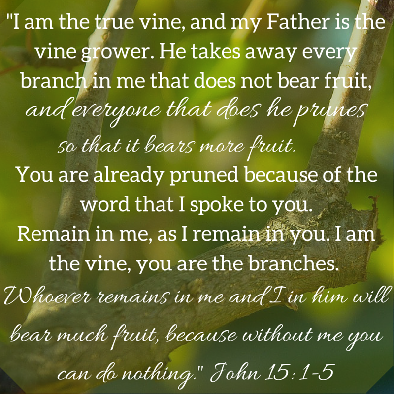 Tomato's Vine: Getting Through The Pruning