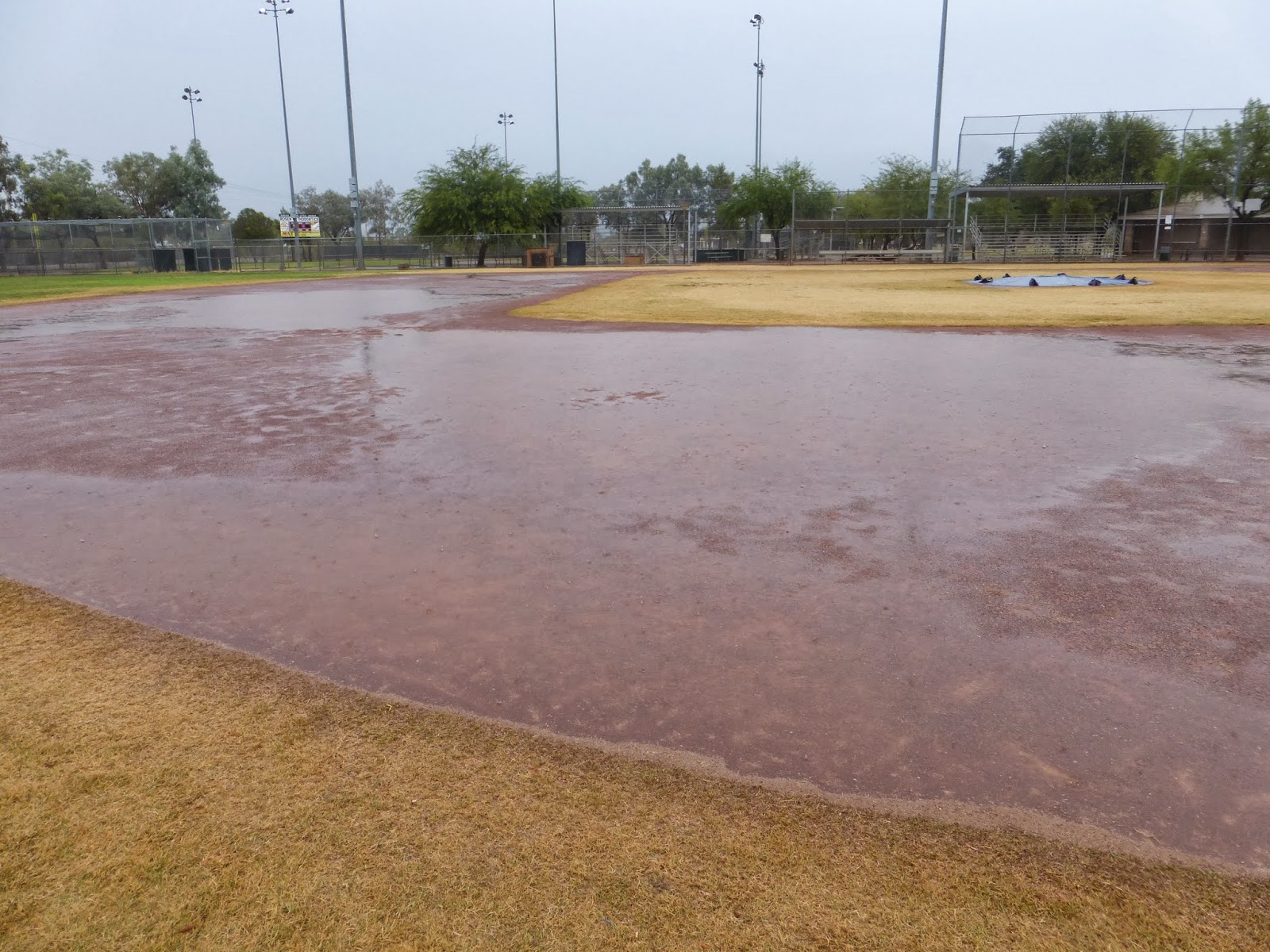 Bookemdanosports: There is only one way to keep a TOT off the baseball ...