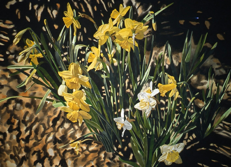 Rounder Studio Art and Stuff: Artist of the Day: Deborah Rubin