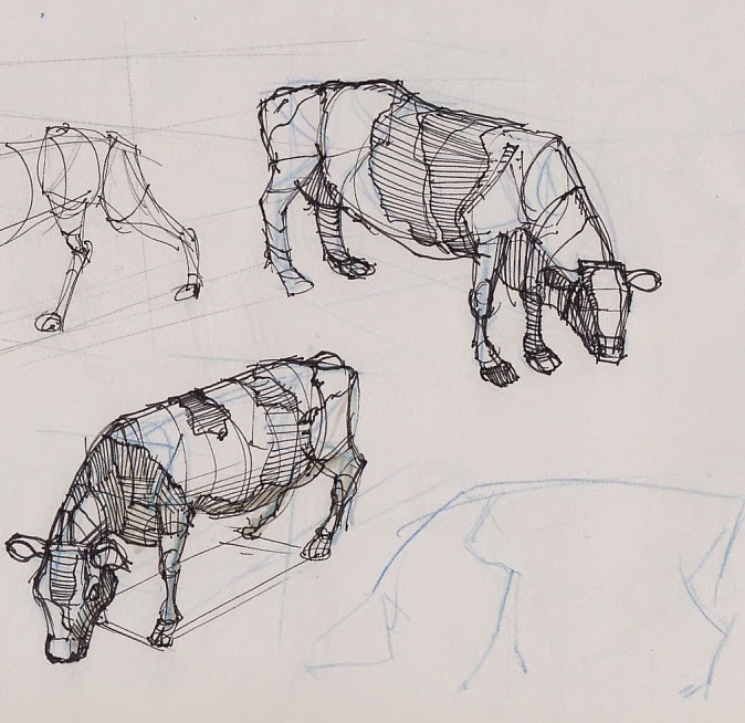 Louis learns to draw: Animal Drawing Week 6