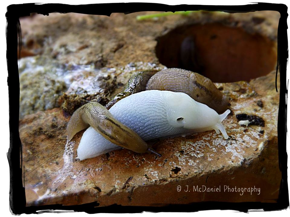 nature calling: June 2013