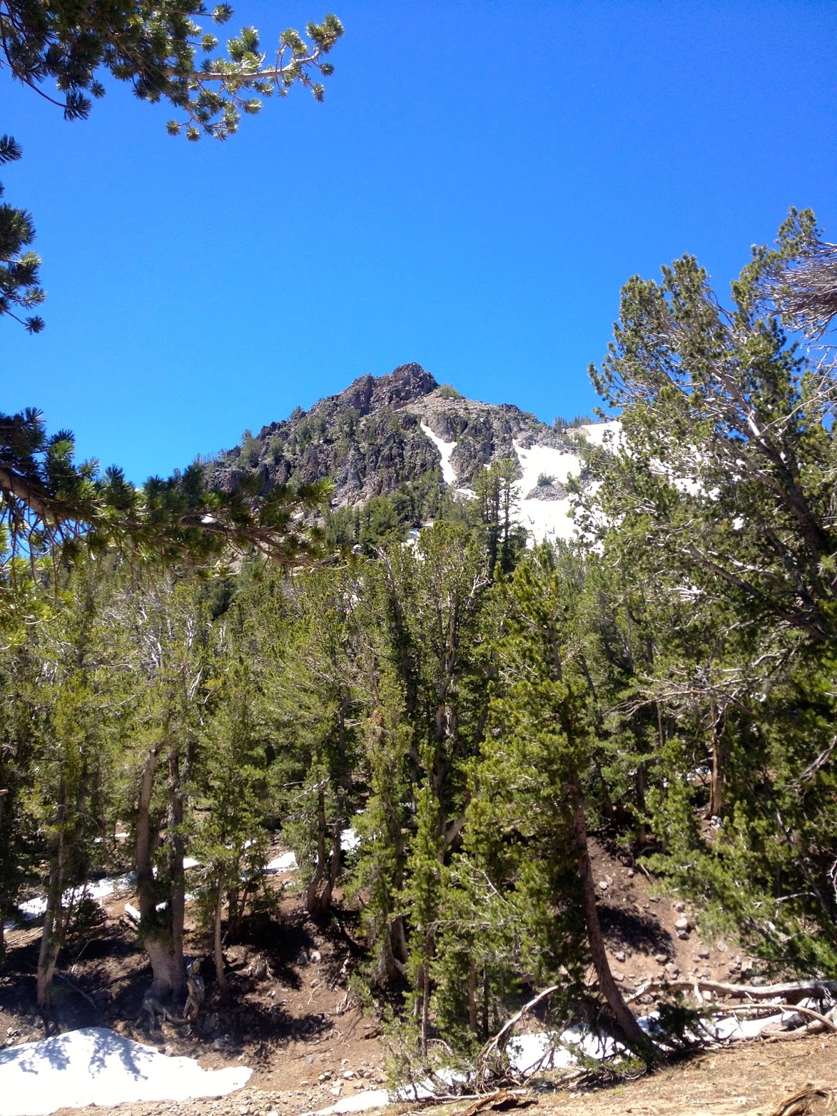 Mount Rose Peak Hike