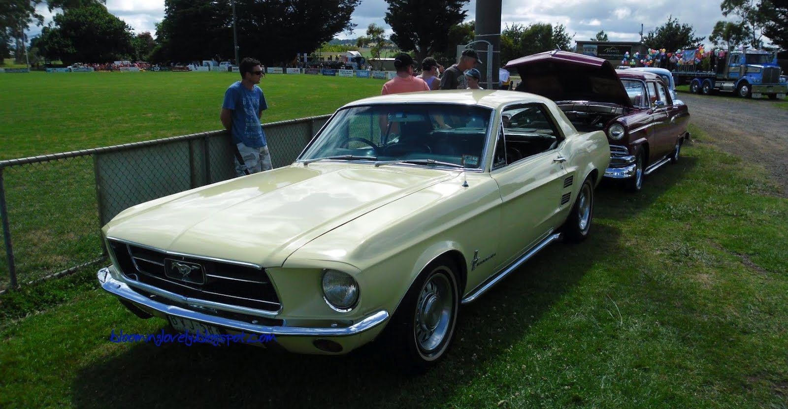 Blooming Lovely: February 2012