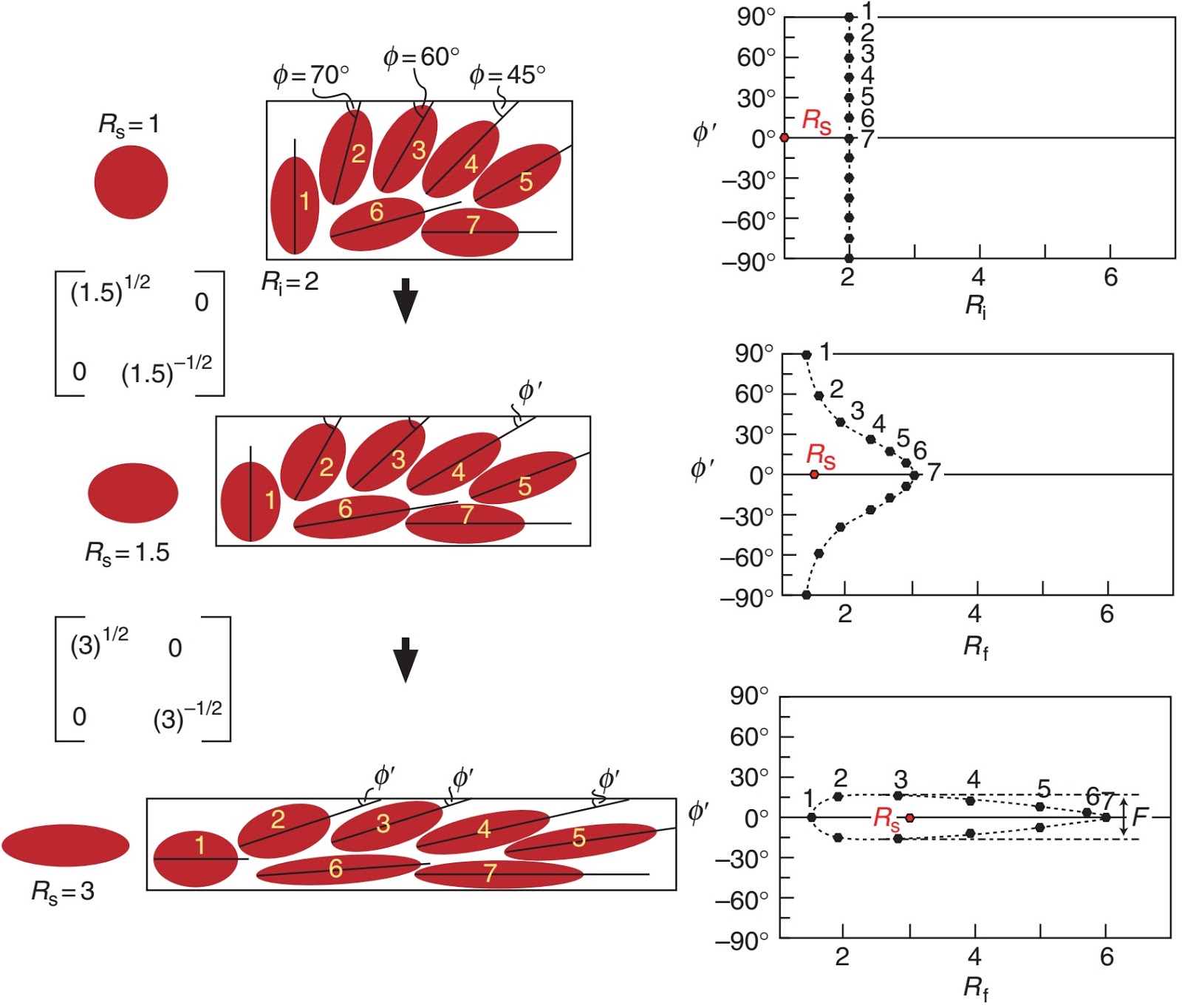 Learning Geology: Why perform strain analysis?