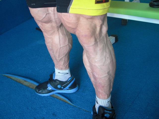 Muscle Bear Hairy: Alexandre Nataf