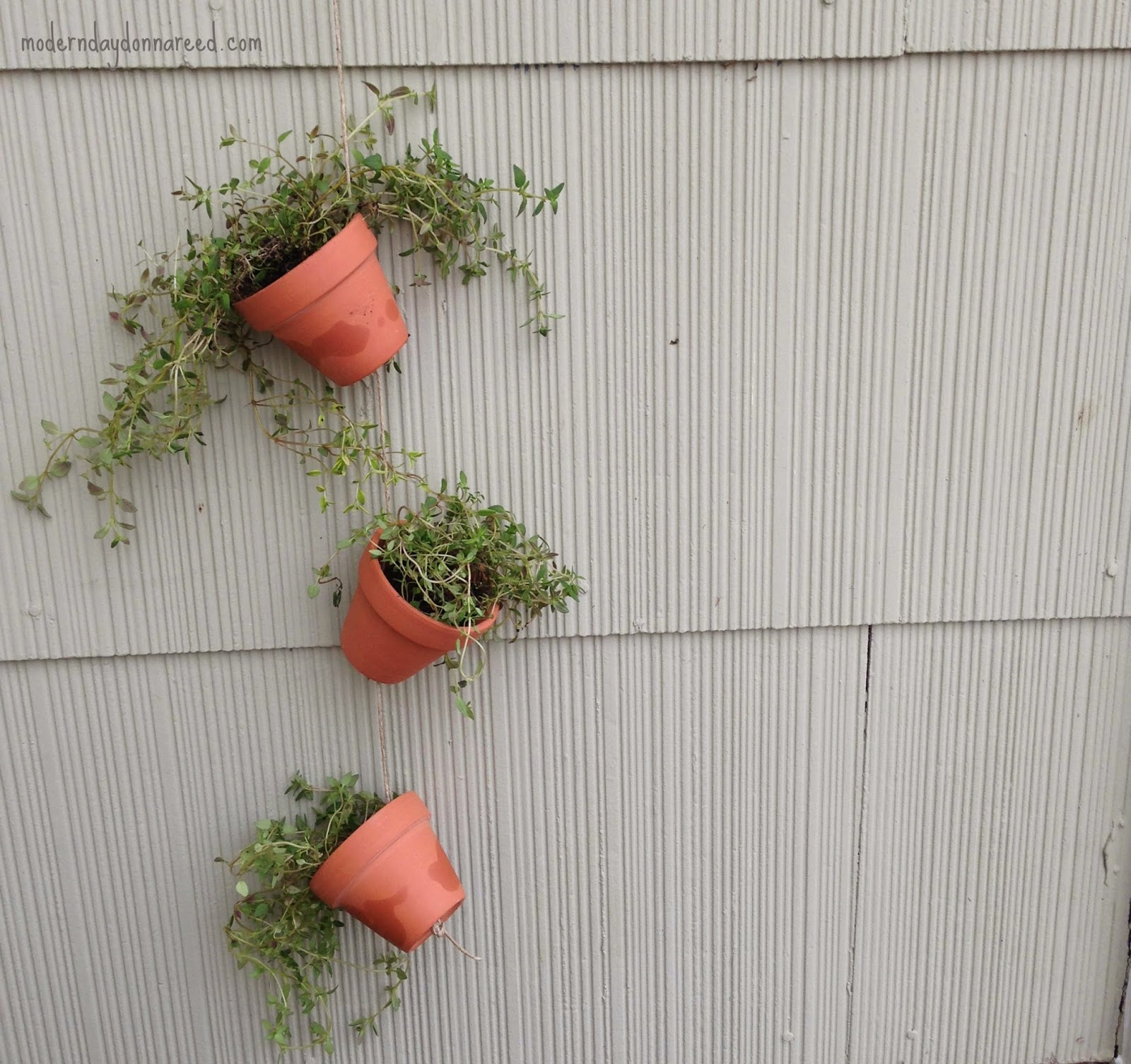 Mini Clay Pot Hanging Planters | Confessions of a Stay-At-Home Mom