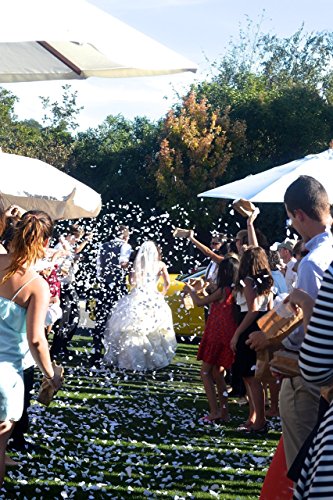 Wedding Traditions and Meanings: Why do we throw rice at weddings?