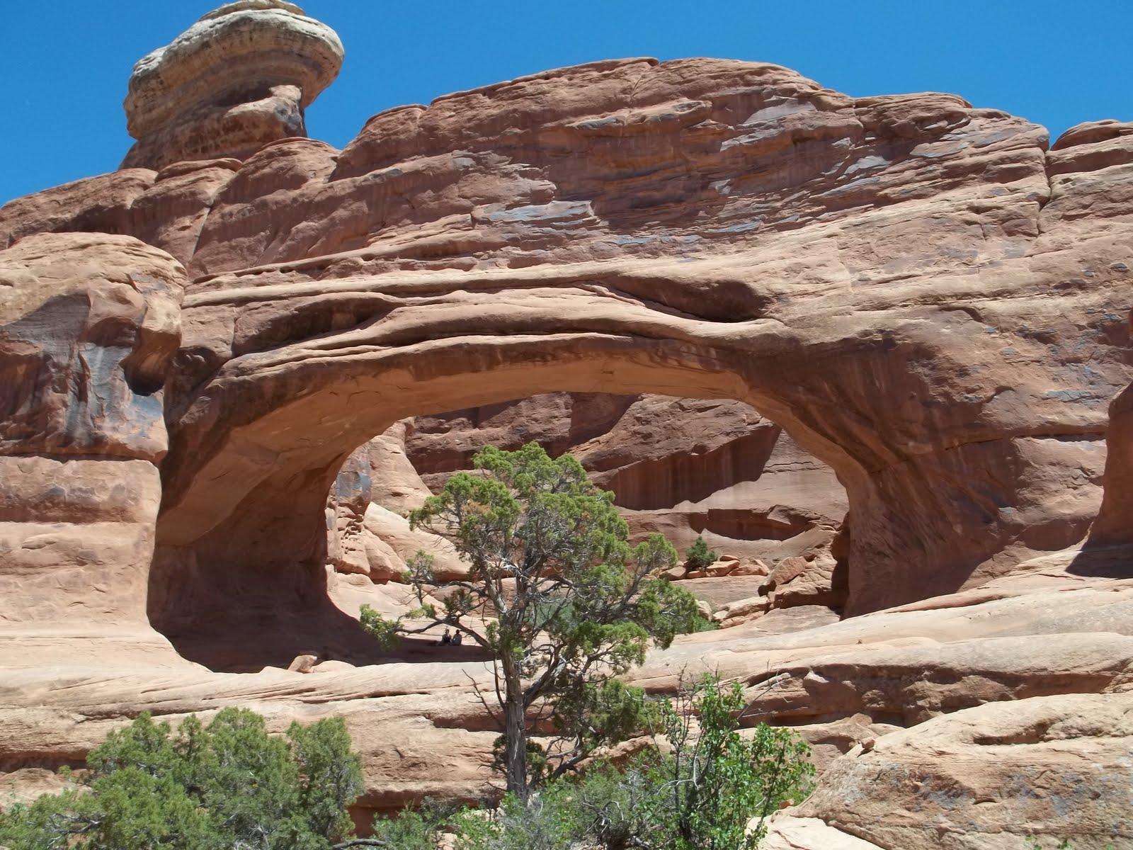 gjhikes.com: Tower Arch