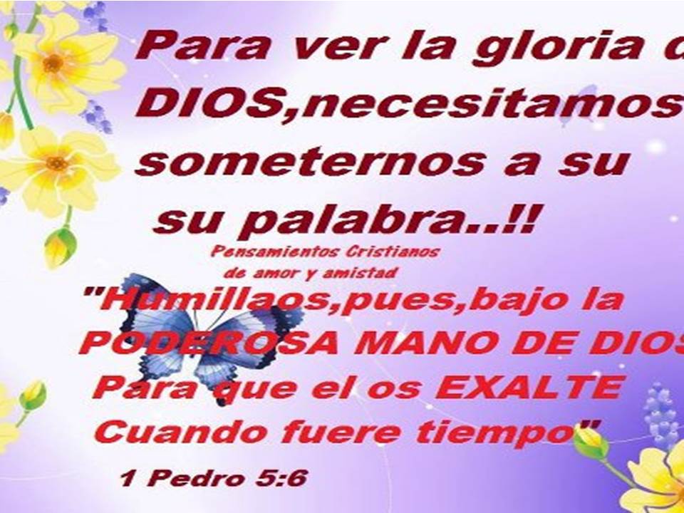 compartiendo mi devocional diario: Temor reverente