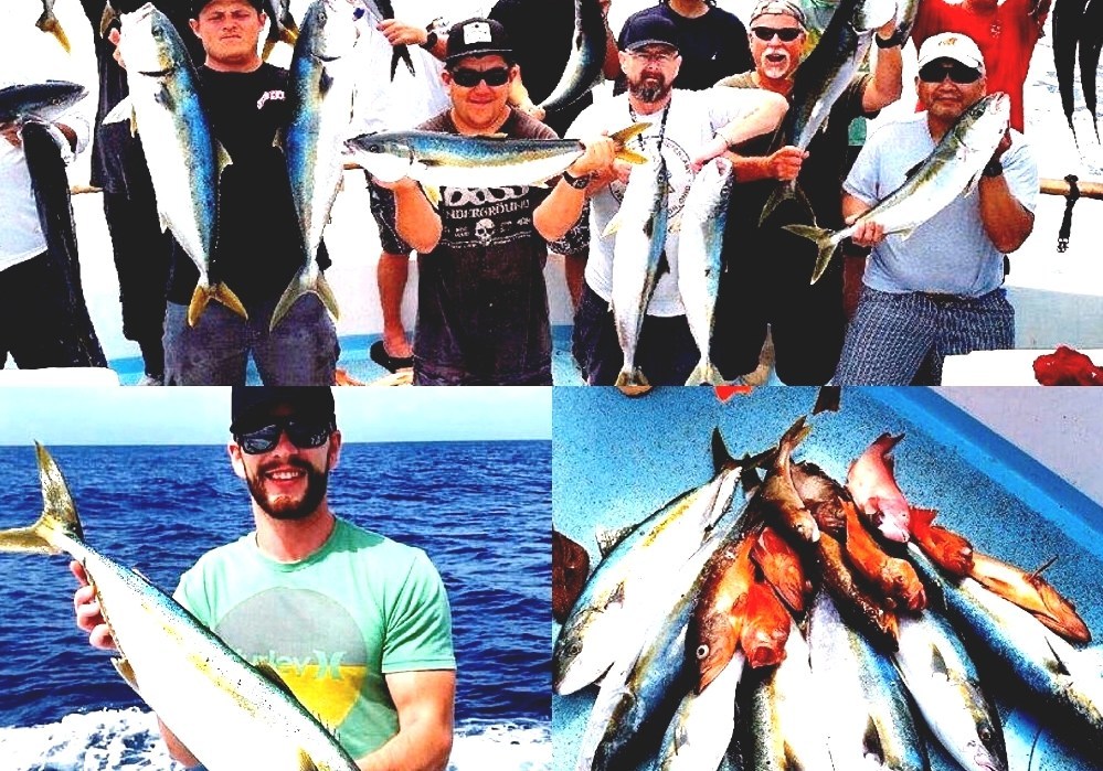 Category Deep Sea Fish List Of Deep Sea Fish category-deep-sea-fish-list-of-deep-sea-fish