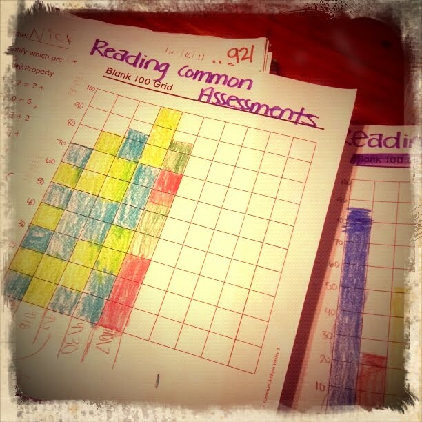 Hawk's Nest: Assessment Tracker