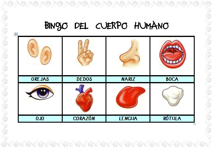 Plastificando ilusiones: Bingo cuerpo humano