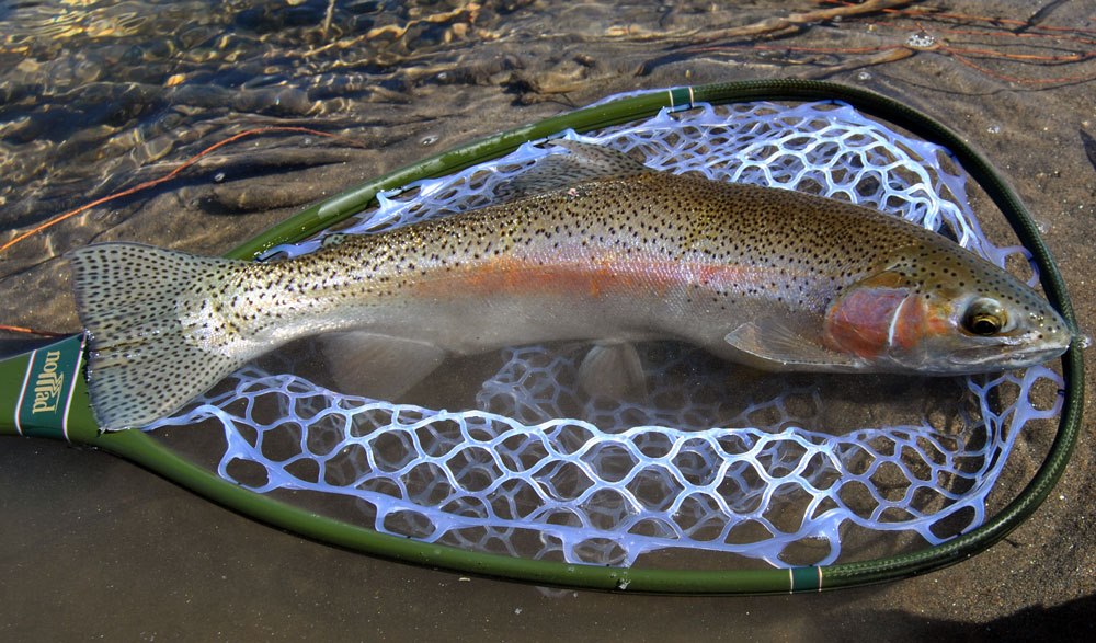 The Fiberglass Manifesto: Nomad Fly Fishing's Latest Offerings