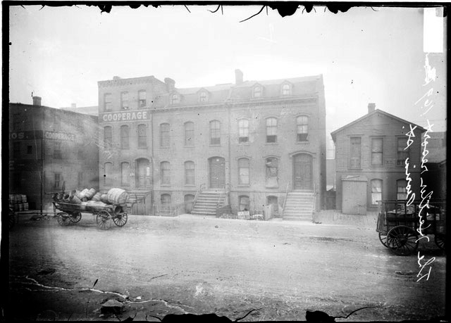 Old People and Me: Mike (the Pike) Heitler