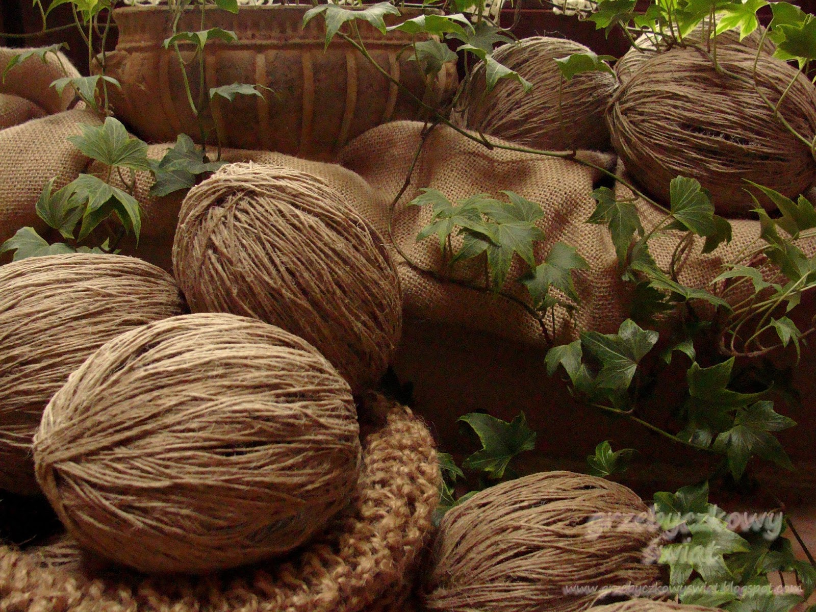 grzebyczkowy świat: Kokosy...