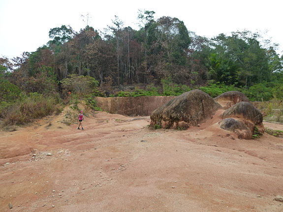 KC & the Sunshine Runners: Gunung Rajah Trail Running