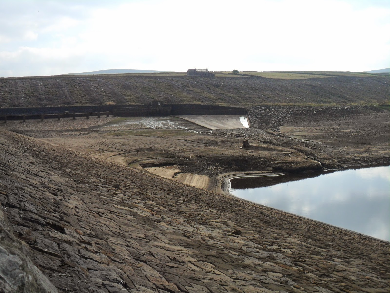 Heather in Cowshill: Burnhope Reservoir