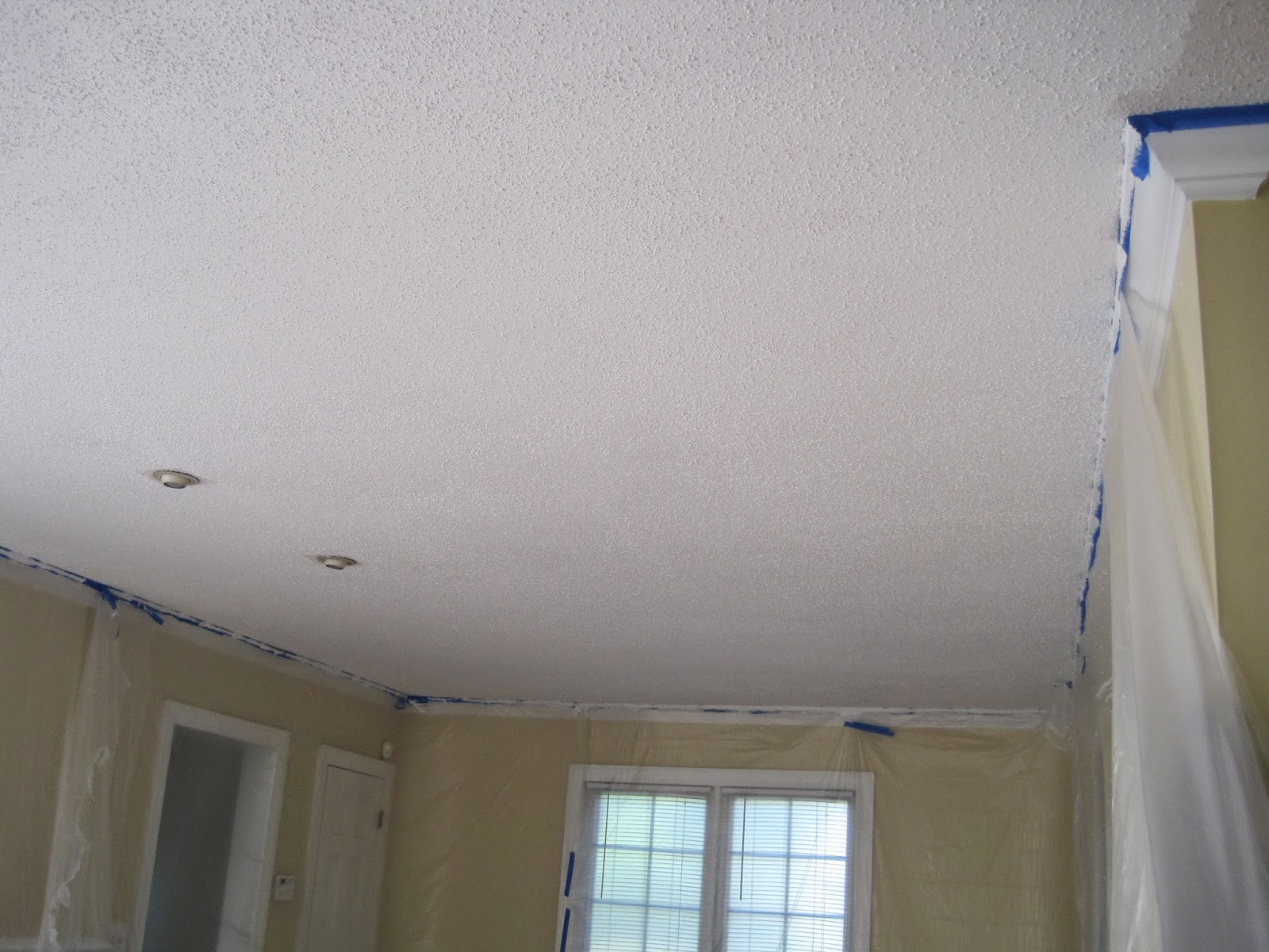 Decorated Chaos: Tips for Painting a Popcorn Ceiling