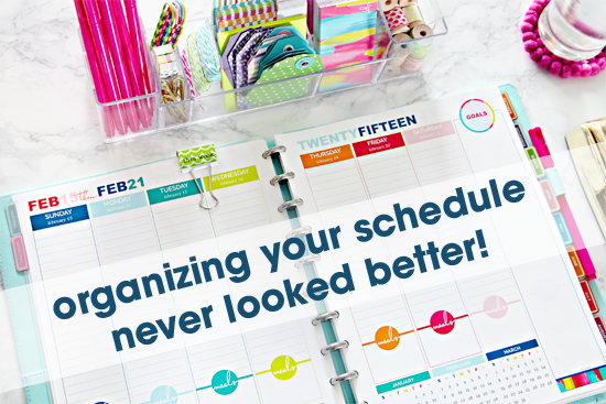 IHeart Organizing: 2015 Daily Planner FAQ's