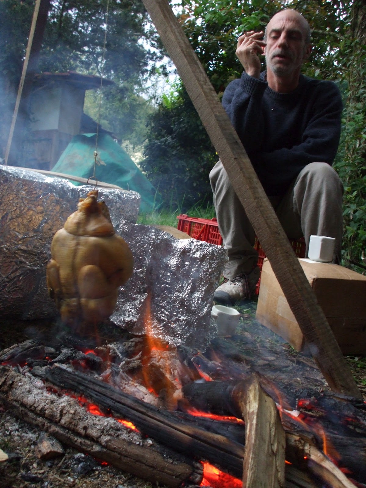 in search of the kiwi: roast chicken on a string