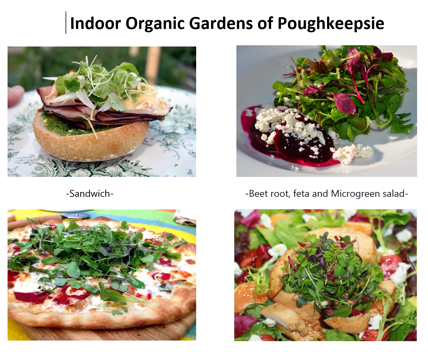 Chef Tess Bakeresse: The Power of Indoor Micro-Green Farming