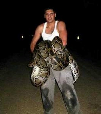 19-Foot Python Captured & Killed Near Miami, Sets Florida State Record ...