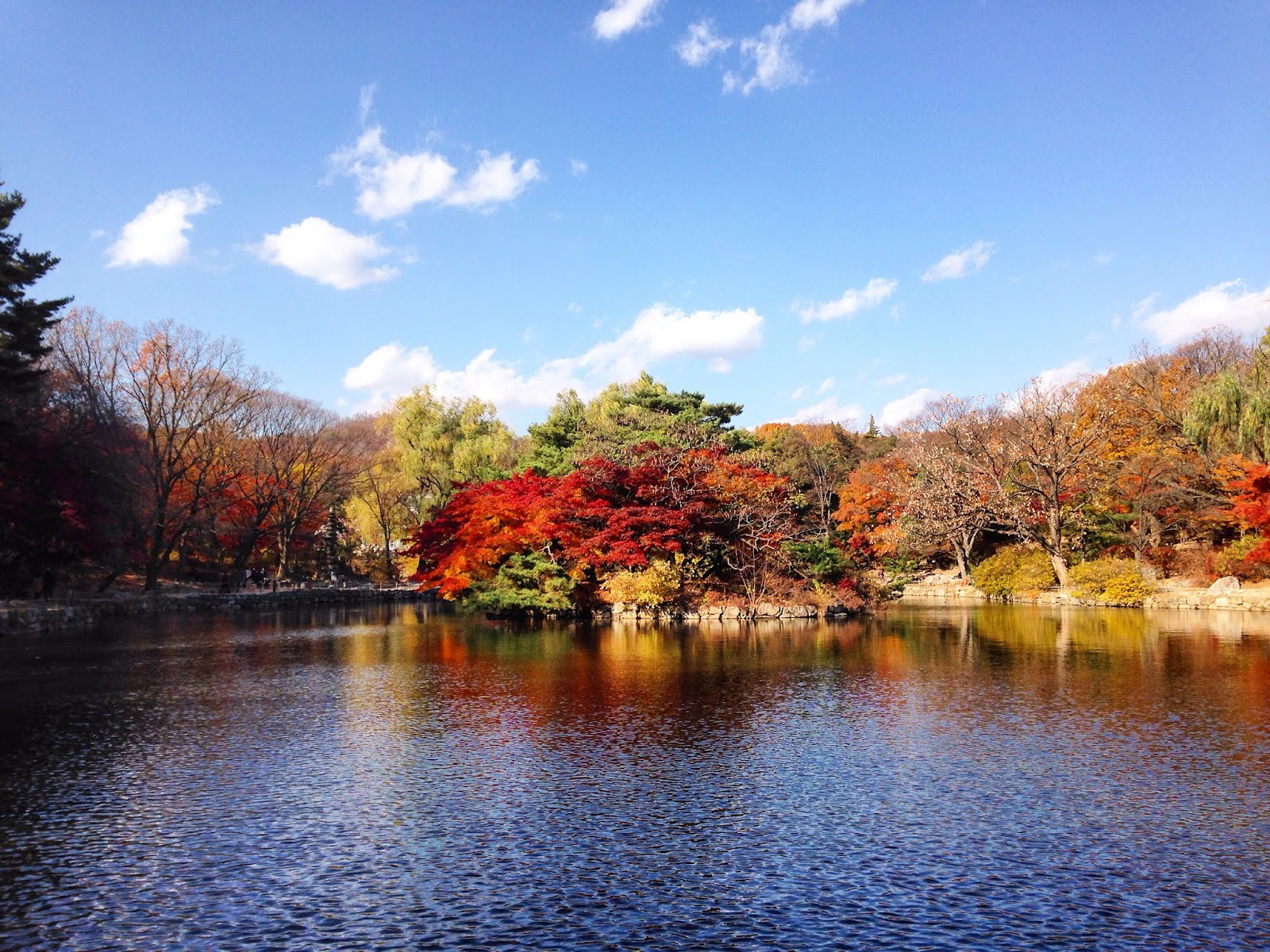 The Changing Colors of Autumn