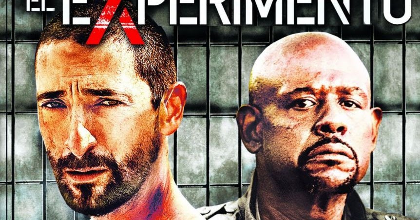 Educacion Transformadora: " EL EXPERIMENTO"