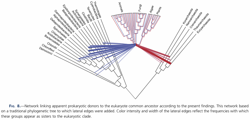 The Genealogical World of Phylogenetic Networks: What are evolutionary ...