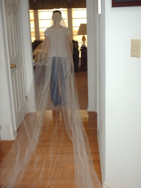 I Cry Glitter: DIY Wedding: A Homemade Veil