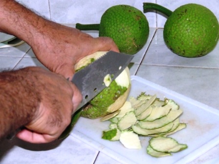 Saborcamagüeyano: Bread fruit (La fruta del pan)