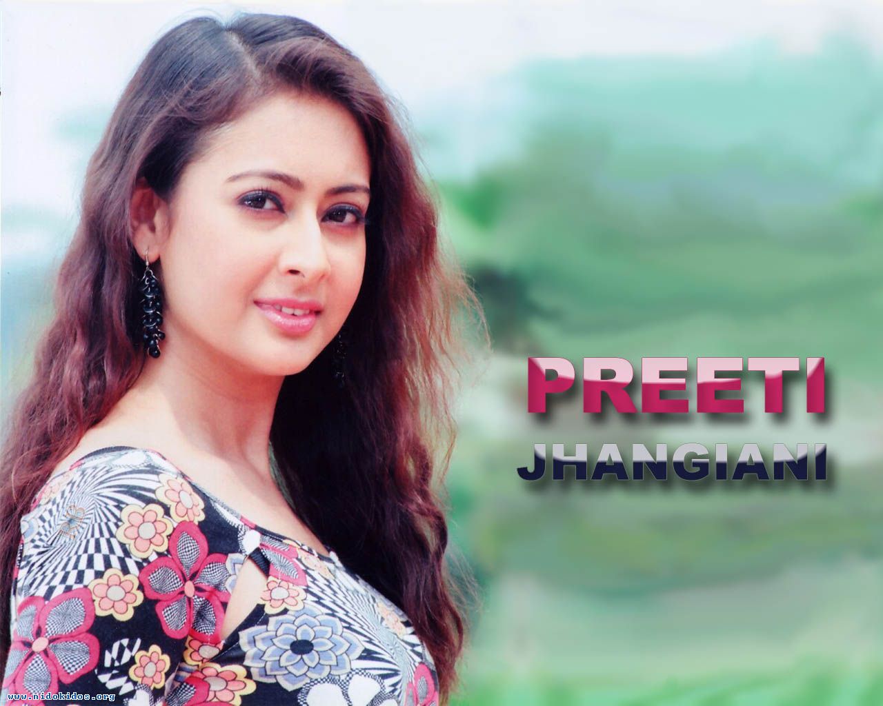 Bollywood Actress | HD | Wallpapers | Pictures | Images: Preeti ...