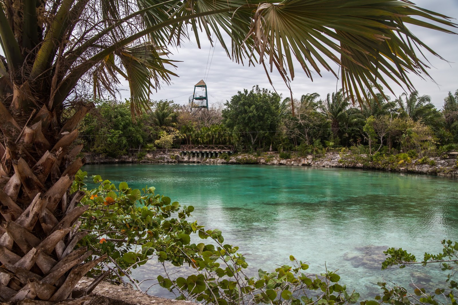 Chankanaab Park in Cozumel - Explore the World with Simon Sulyma