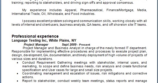 How To Create A Curriculum Vitae For Project Manager in Word Format ...