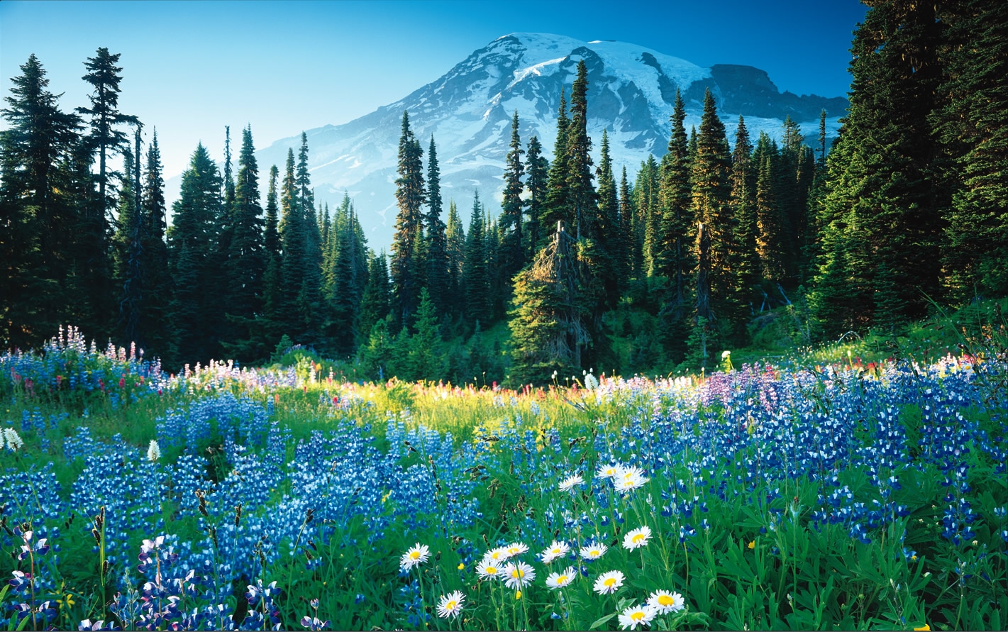 Resimleri: En güzel 50 Doğa Resmi