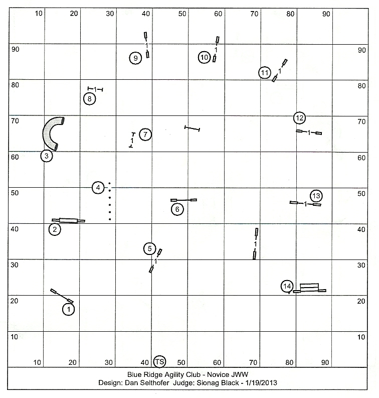 4 Dog Craziness: AKC Trial