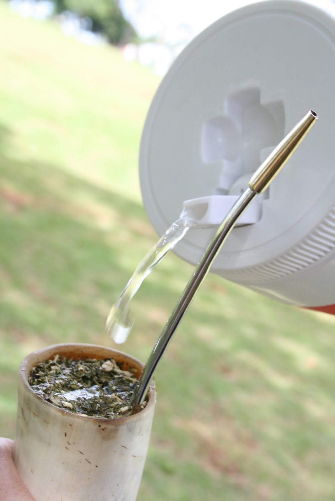 jikitaia!: Tereré - Beneficios e maleficios