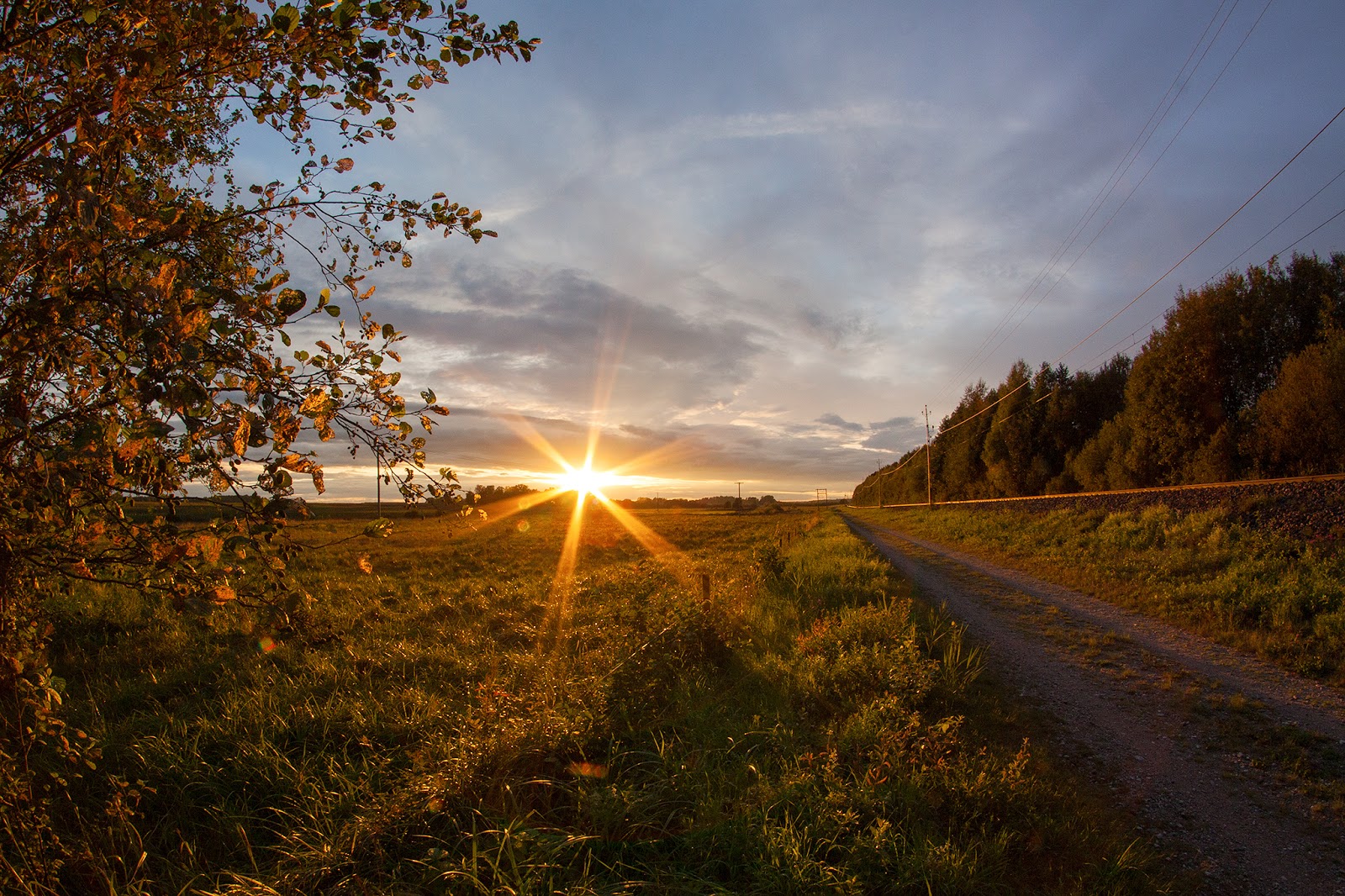 Lasses Fotoblogg: Månadens bild: Augusti