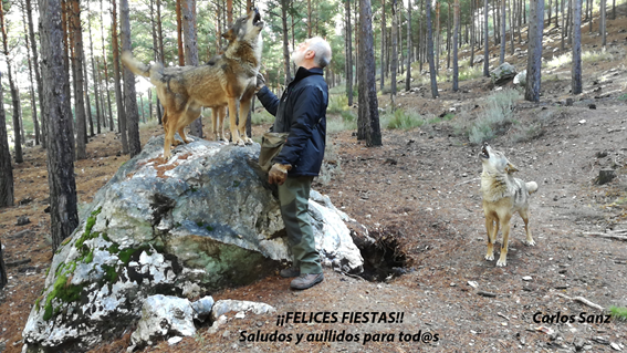 AMIGO LOBO: Blog lobero de Carlos Sanz: POSIBLES REGALOS PARA LOS ...