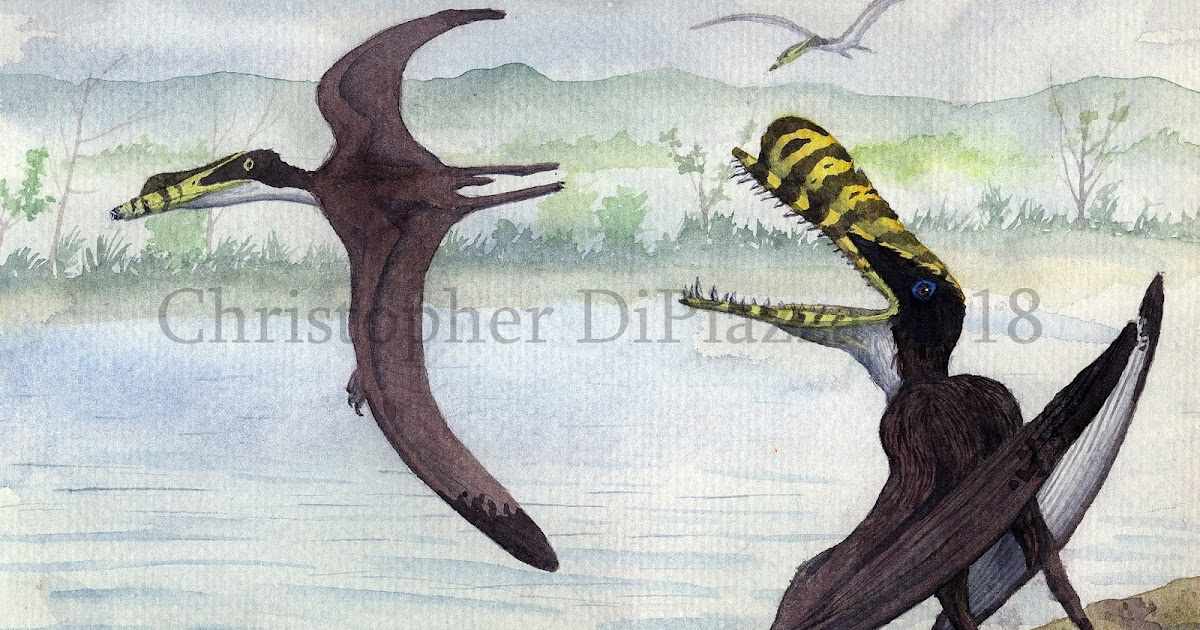 Prehistoric Beast of the Week: Hamipterus: Beast of the Week