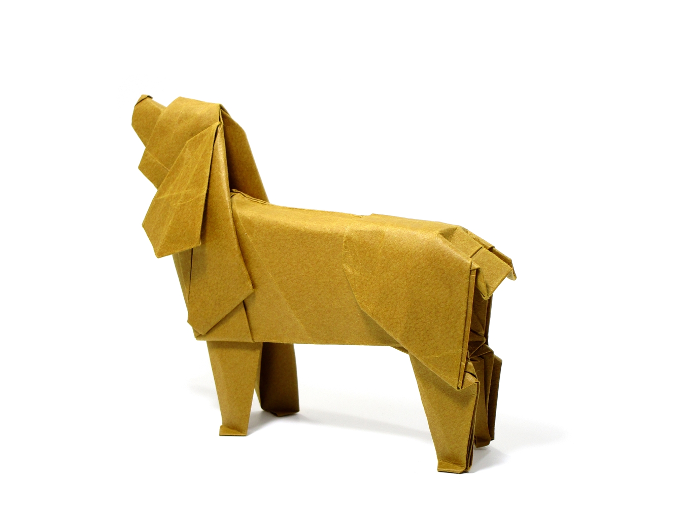 Mariano-Mi mundo el Origami: American Cocker Spaniel